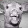 Power_hour memes. Best Collection of funny Power_hour pictures on iFunny