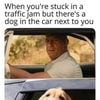 Broken_leg memes. Best Collection of funny Broken_leg pictures on iFunny