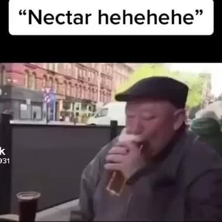 Nectar Triantis Hibs | FollowFollow.com