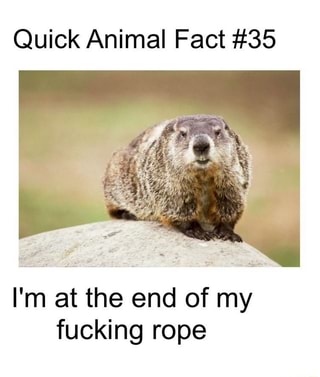 Rope memes. Best Collection of funny rope pictures on iFunny