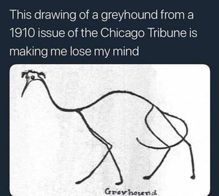 Greyhound memes. Best Collection of funny greyhound pictures on iFunny