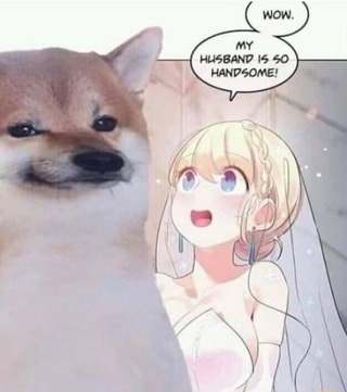 Cheems memes. Best Collection of funny cheems pictures on iFunny