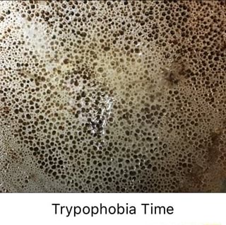 Trypophobia memes. Best Collection of funny trypophobia pictures on iFunny
