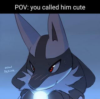 Lucario memes. Best Collection of funny lucario pictures on iFunny