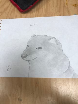 The unedited cheems picture is somehow funnier than any cheems meme ive ...