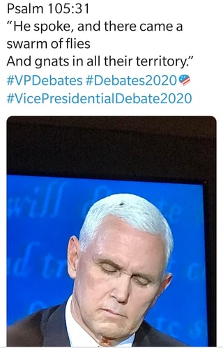 Gnats memes. Best Collection of funny gnats pictures on iFunny