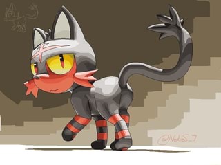 Litten memes. Best Collection of funny litten pictures on iFunny