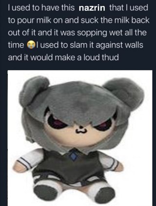 Nazrin memes. Best Collection of funny nazrin pictures on iFunny