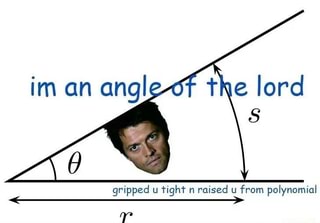 Polynomial memes. Best Collection of funny polynomial pictures on iFunny