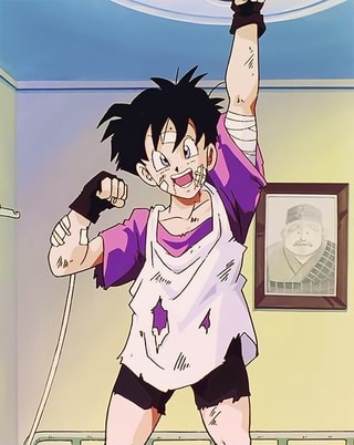 Videl memes. Best Collection of funny videl pictures on iFunny