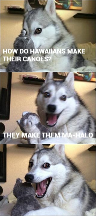 Mahalo memes. Best Collection of funny mahalo pictures on iFunny