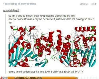 Enzyme memes. Best Collection of funny enzyme pictures on iFunny