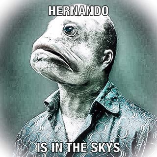 Hernando memes. Best Collection of funny hernando pictures on iFunny