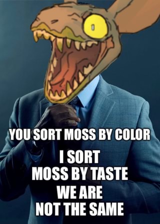 WHAT ARE YOU DOING WITH THAT MOSS? - iFunny