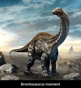 Brontosaurus memes. Best Collection of funny brontosaurus pictures on ...