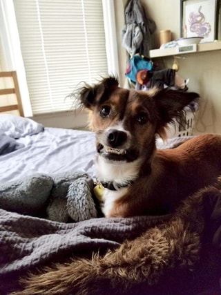 Ruby memes. Best Collection of funny ruby pictures on iFunny