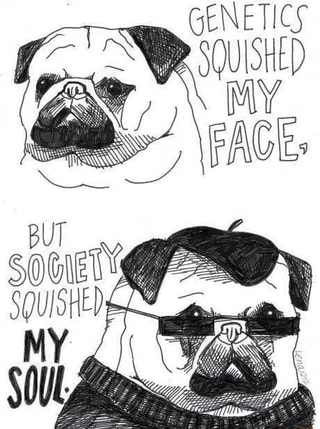 Squished memes. Best Collection of funny squished pictures on iFunny