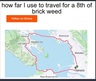 Strava memes. Best Collection of funny strava pictures on iFunny