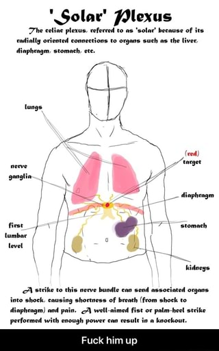 "Solar" Plexus The celine plexus, referred to as "solar" because of its ...