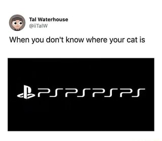 When you pspspspsps into the void, sometimes it pspspspspsps's back. - iFunny :)