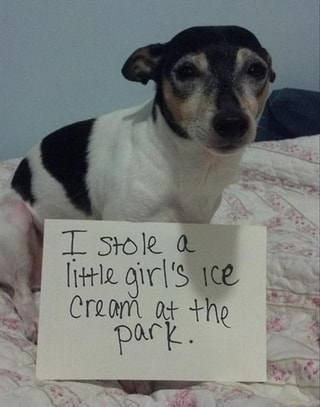 Attaboy memes. Best Collection of funny attaboy pictures on iFunny