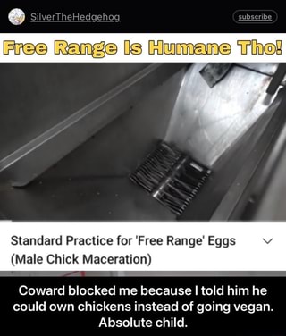 Coward memes. Best Collection of funny coward pictures on iFunny