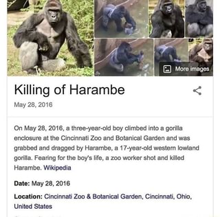 Killing of Harambe May 28, 2016 On May 28, 2016, a three-year-old boy ...