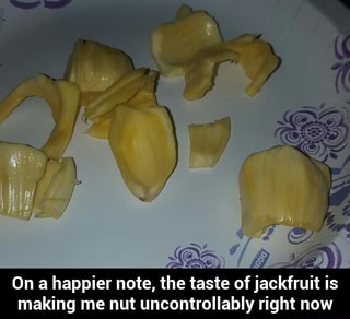 Jackfruit memes. Best Collection of funny jackfruit pictures on iFunny