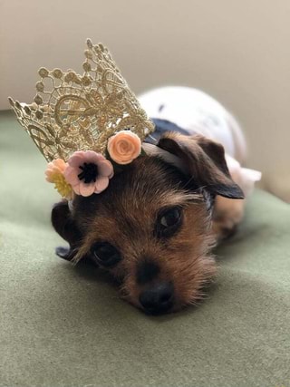 Ruby memes. Best Collection of funny ruby pictures on iFunny