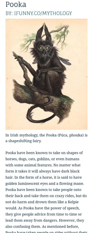 Pooka memes. Best Collection of funny pooka pictures on iFunny