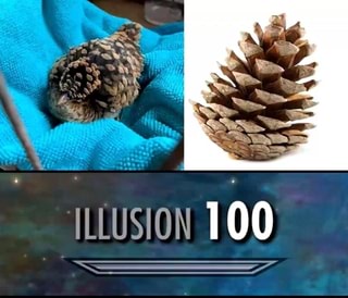 Allusion memes. Best Collection of funny allusion pictures on iFunny