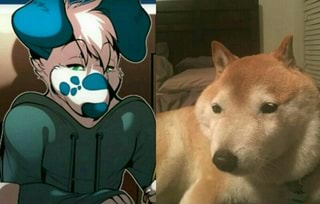 Redrusker memes. Best Collection of funny redrusker pictures on iFunny