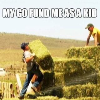 Gofundme memes. Best Collection of funny gofundme pictures on iFunny