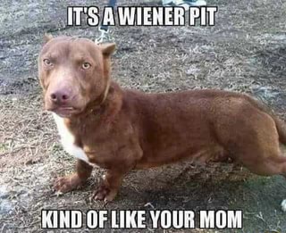 No artist can ever make anything as relatable as edward gorey drawing a ...