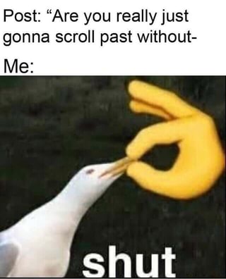 Are you just gonna scroll past me without saying yee-claw - iFunny :)