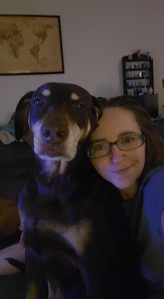 Kimber memes. Best Collection of funny kimber pictures on iFunny