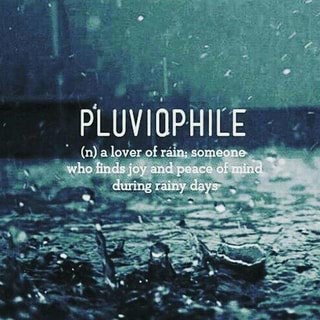 Pluviophile memes. Best Collection of funny pluviophile pictures on iFunny