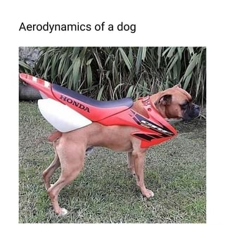 Aerodynamics memes. Best Collection of funny aerodynamics pictures on ...