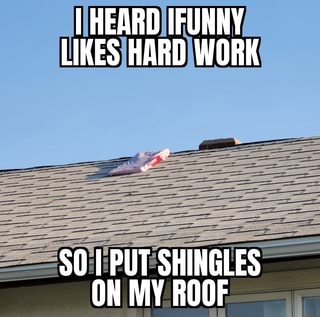 Shingles memes. Best Collection of funny shingles pictures on iFunny