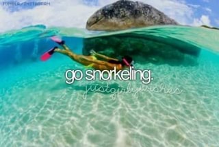 Snorkeling memes. Best Collection of funny snorkeling pictures on iFunny