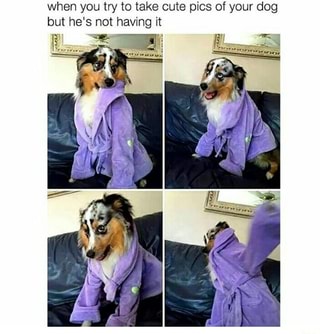 Bathrobe memes. Best Collection of funny bathrobe pictures on iFunny