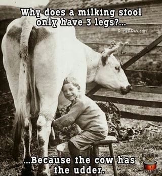 Udder memes. Best Collection of funny udder pictures on iFunny