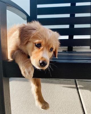 Patio memes. Best Collection of funny patio pictures on iFunny