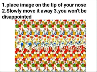 Stereogram memes. Best Collection of funny stereogram pictures on iFunny