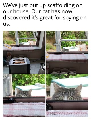 Scaffolding memes. Best Collection of funny scaffolding pictures on iFunny