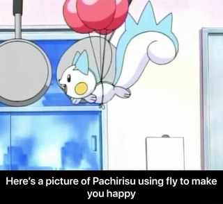 Pachirisu memes. Best Collection of funny pachirisu pictures on iFunny