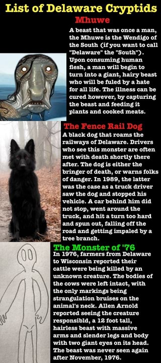 Cryptids List