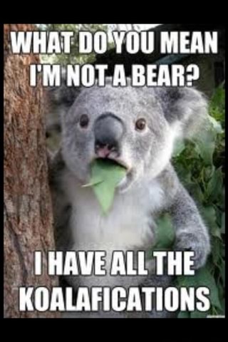 Koalafication memes. Best Collection of funny koalafication pictures on ...