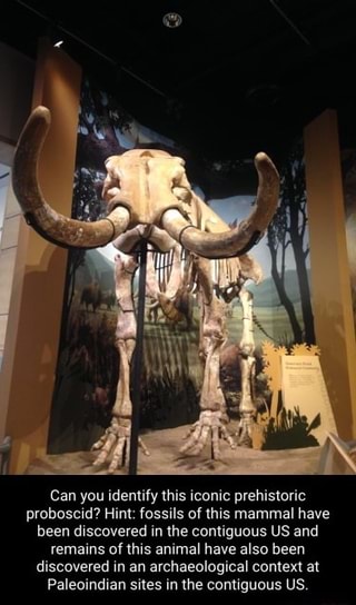 Fossils memes. Best Collection of funny fossils pictures on iFunny