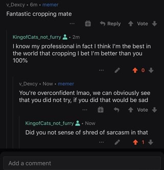 Overconfident memes. Best Collection of funny overconfident pictures on ...